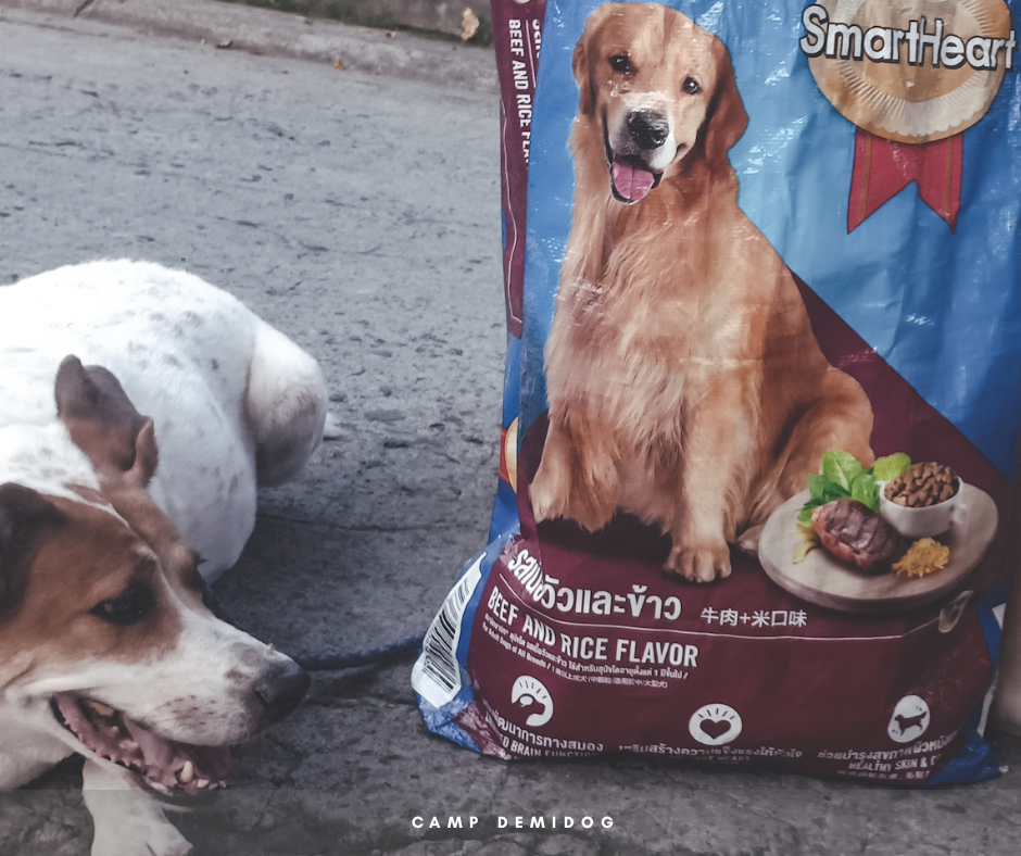 Complete and Healthy Life - SmartHeart Dog Food - Camp Demidog