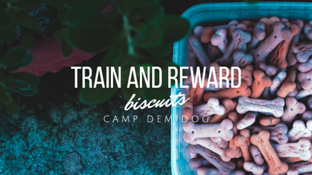 Train & Reward Dog Biscuits by Petplus - Camp Demidog