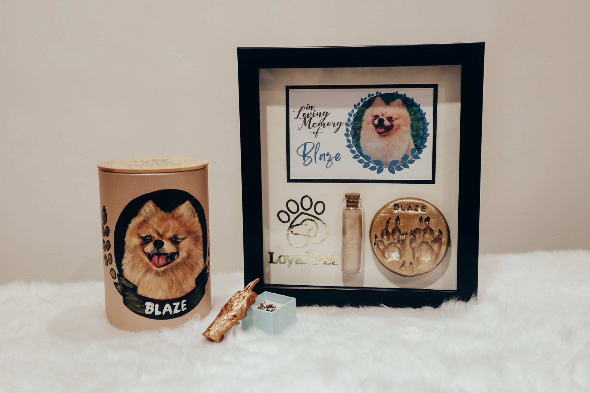 How to Say Goodbye to a Demidog - Camp Demidog