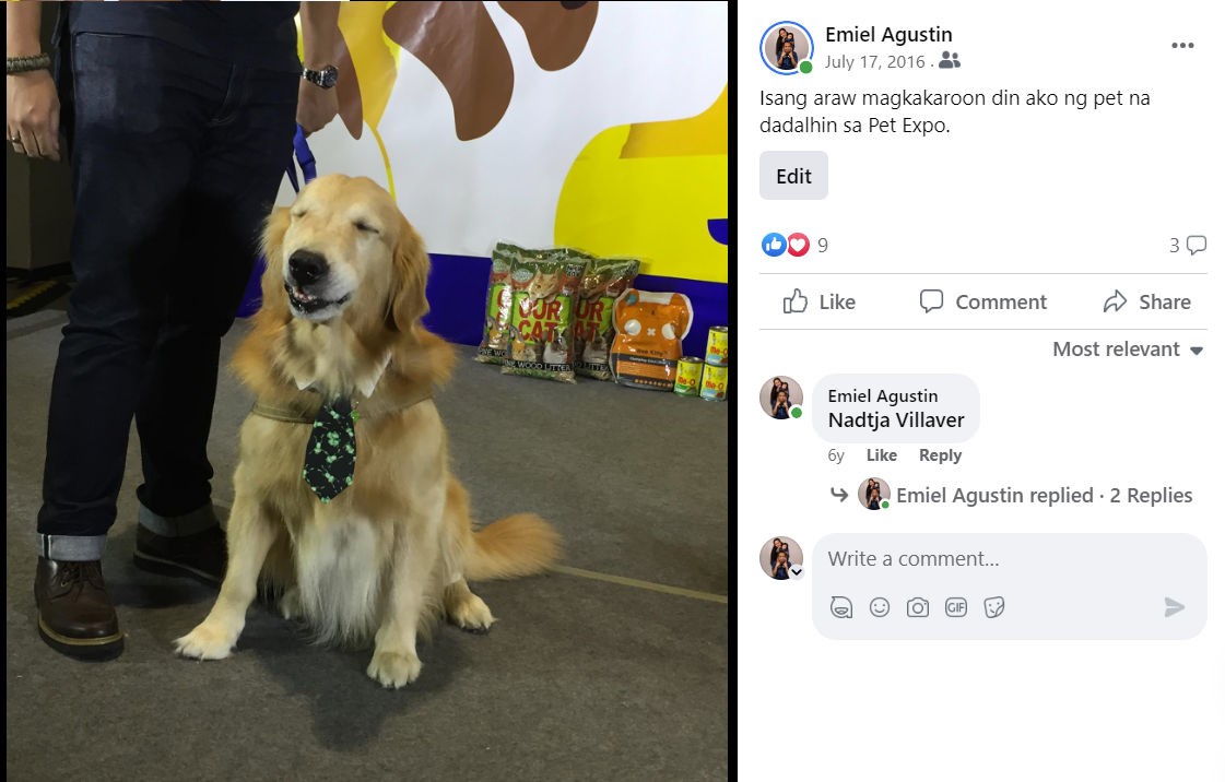 Six Years of Pawsome Experience - Demidog Day Out 2023 - Camp Demidog